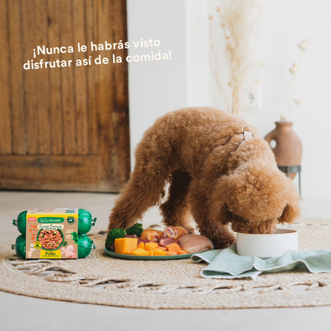 Comida Cocinada de Pollo con verduras para perros – Wild Balance