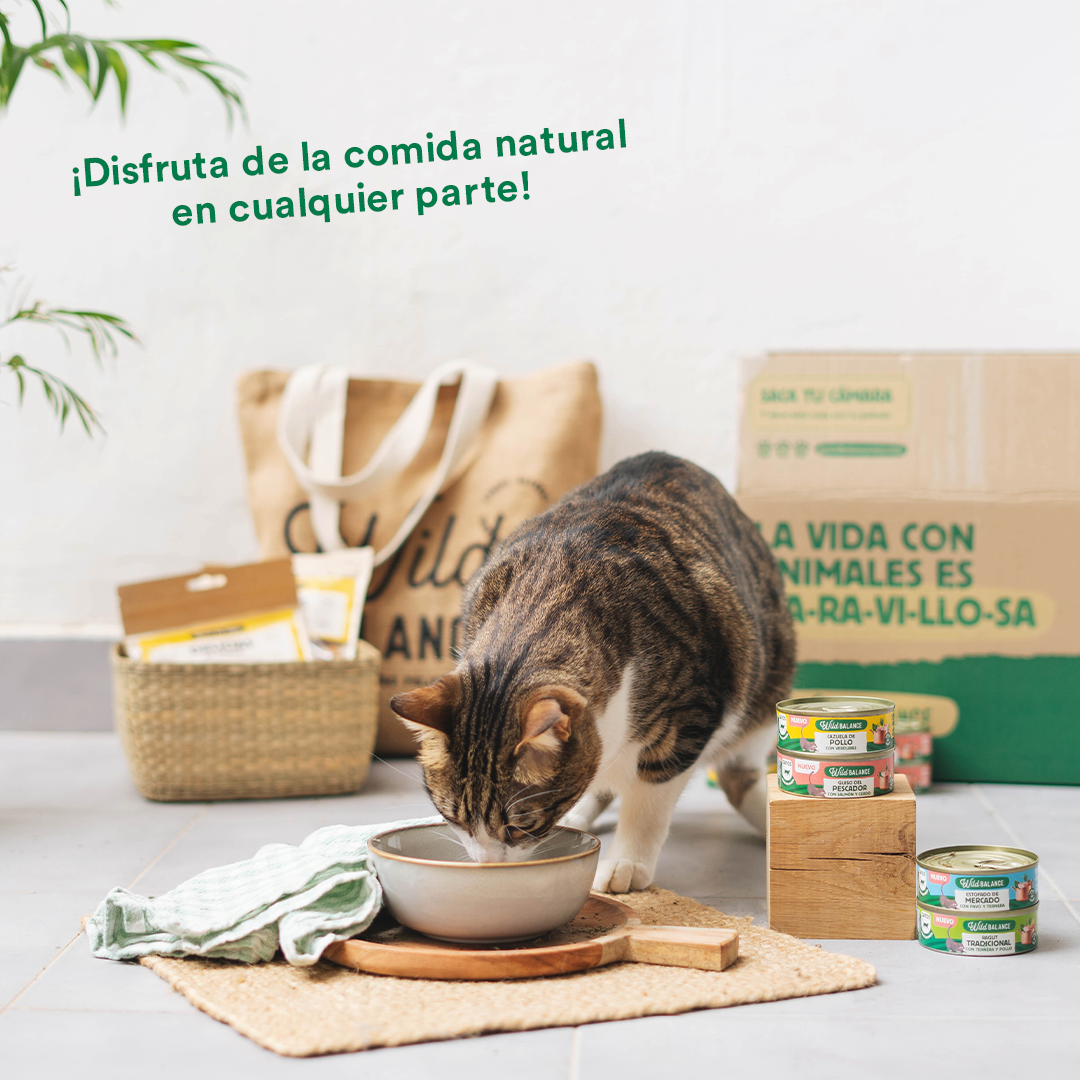 Lata de Ragut Tradicional de Ternera y Pollo para Gatos 80gr – Wild Balance